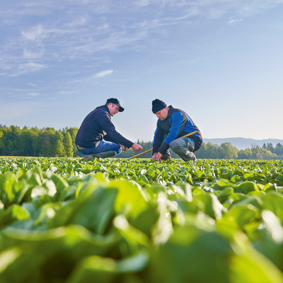 DITZLER | Neuigkeiten
